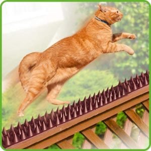 10 Best Cat Repeller Fence and Wall Spikes - BestDailyReviews